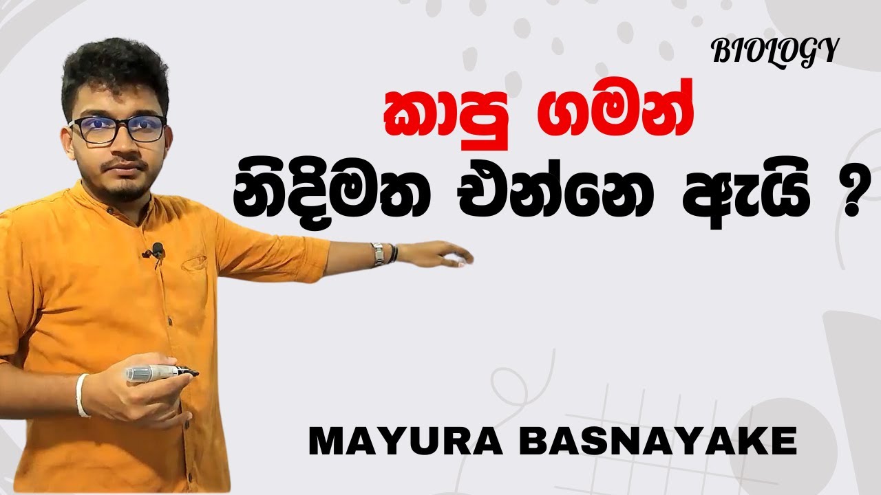 කාපු ගමන් නිදිමත එන්නෙ ඇයි ? | Mayura Basnayake - YouTube