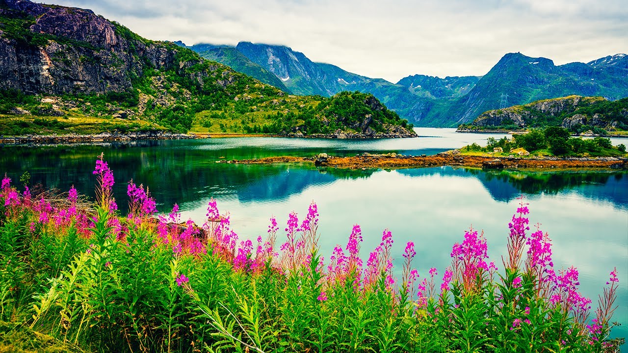 Beautiful Relaxing Music for Stress Relief - Calming Music, Meditation ...