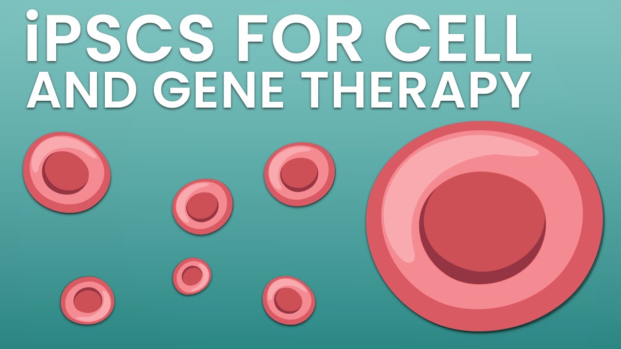 Introducing iPSCs for cell and gene therapy - YouTube