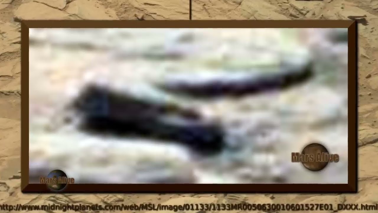 Worm or Reptile on Mars? - YouTube