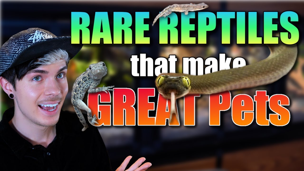 Rare Reptile Pets