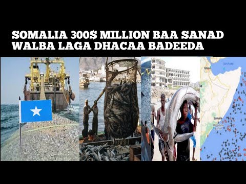 Somali documentary |300$ million Sanad walba lagadhaca bada Somalia ...