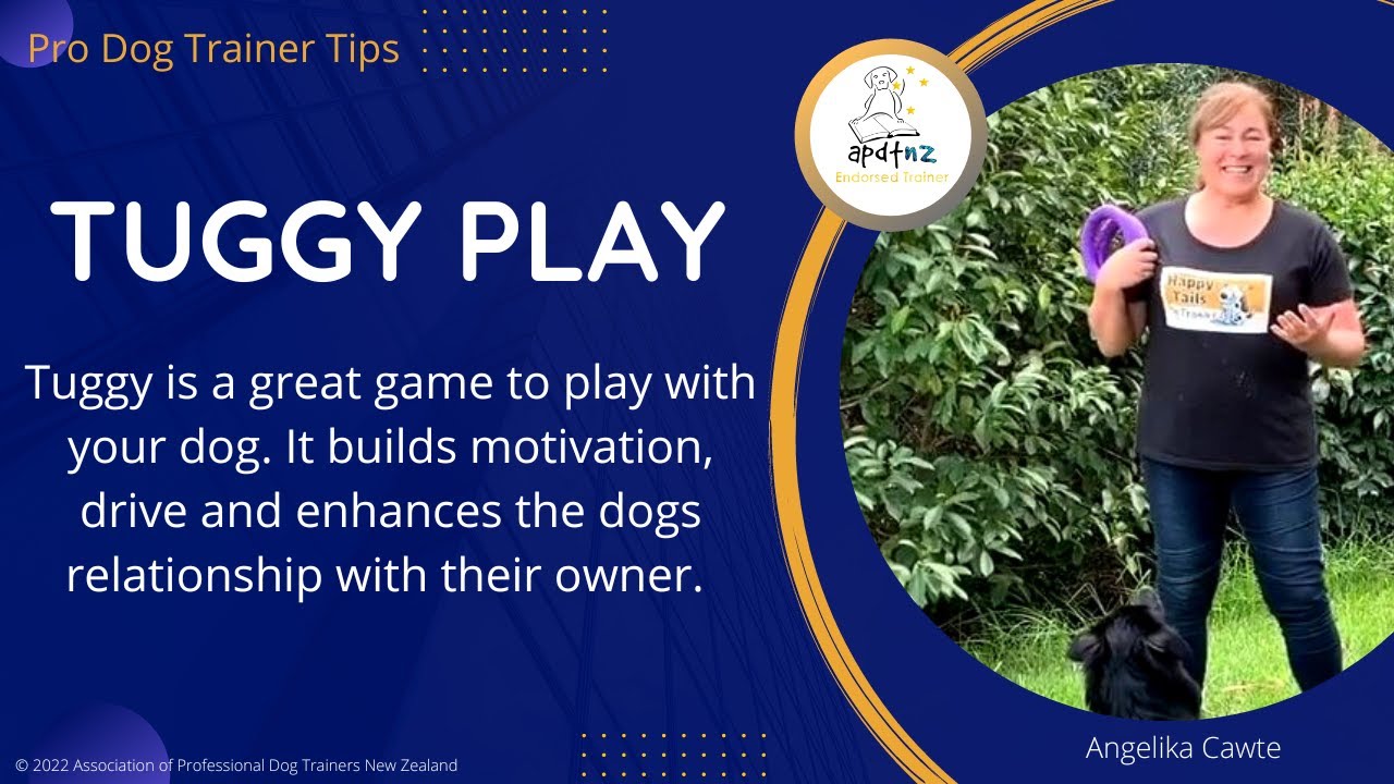 Tuggy Tuggy Tuggy! - YouTube