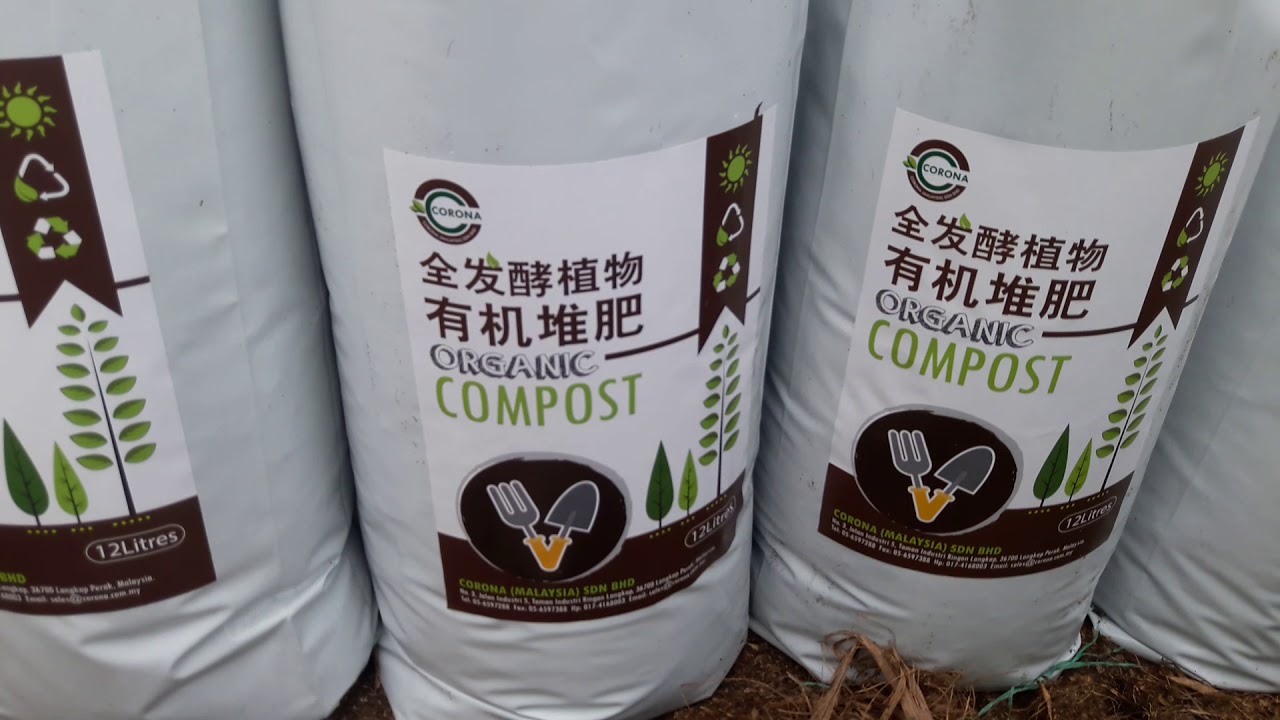 Packing kompos ke polybag - YouTube