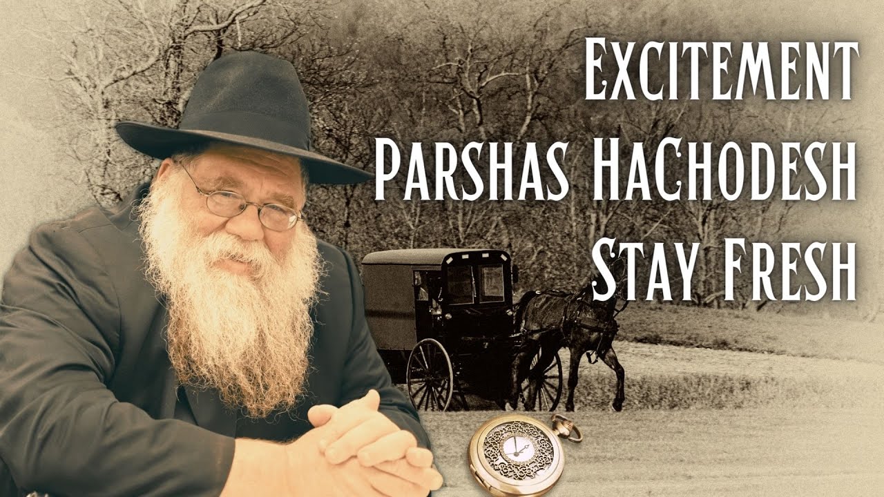 Are you looking for Excitement? Try this week's Parshas HaChodesh: Stay ...