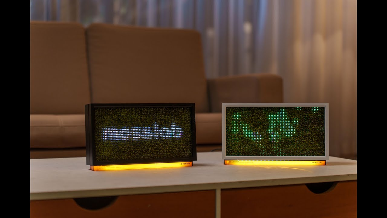 Breathe, Hear, Experience Indoor Nature with Moss Echo - YouTube