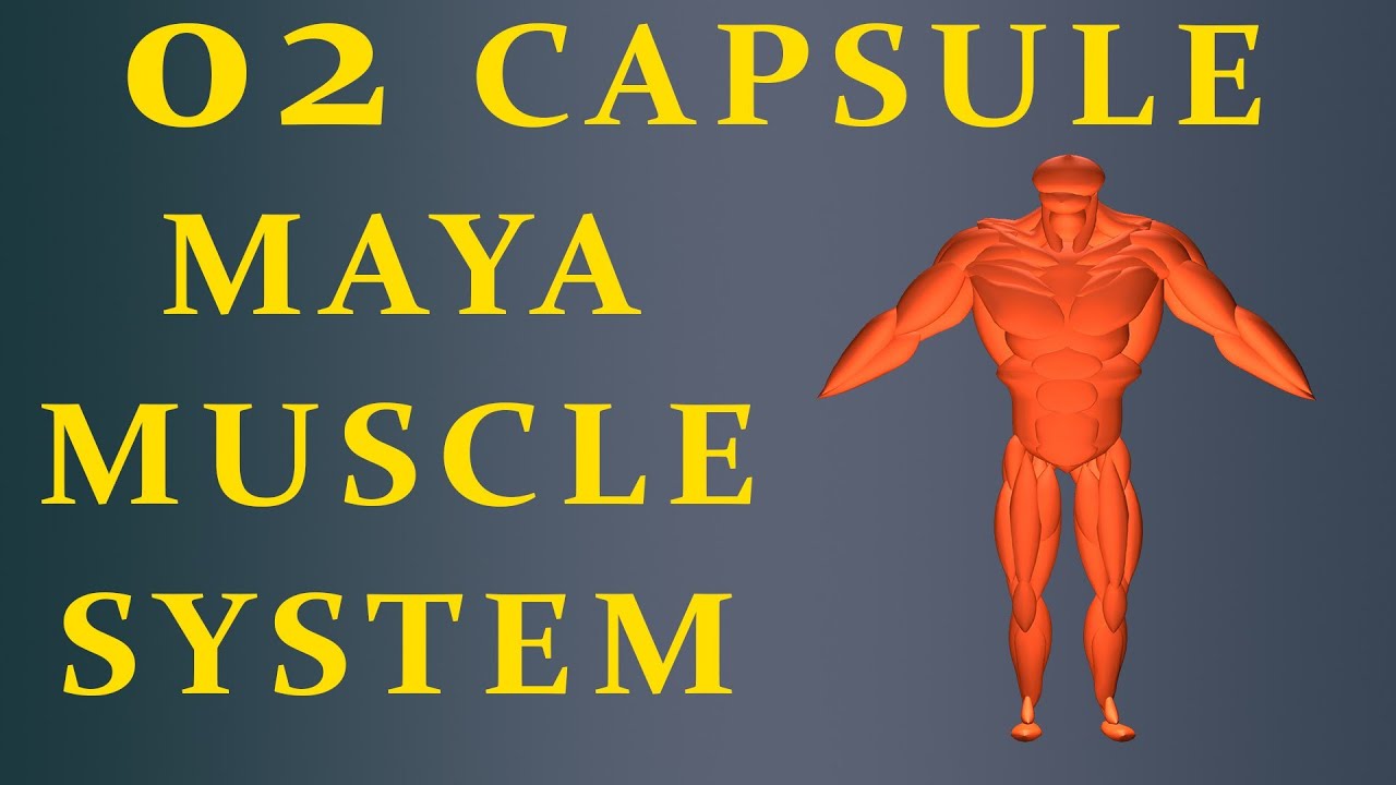 #maya #muscle #rigging #cgduniya Introduction to Maya Muscle - Muscle ...