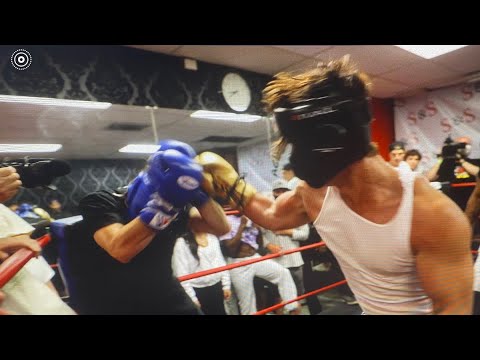 YouTube vs TikTok boxing training (ft. Bryce Hall vs Stromedy) - YouTube