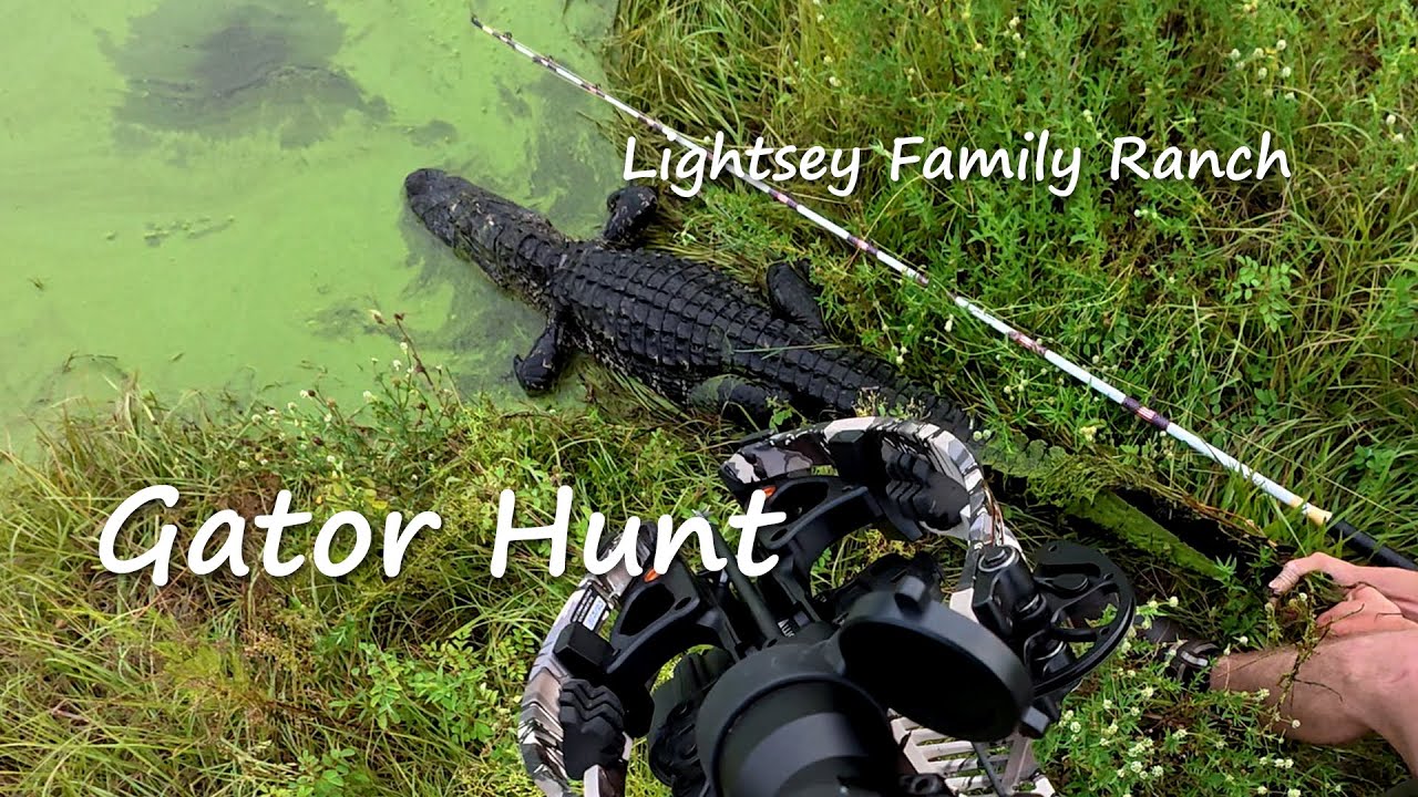 Florida Gator Hunting at Lightsey Ranch - YouTube