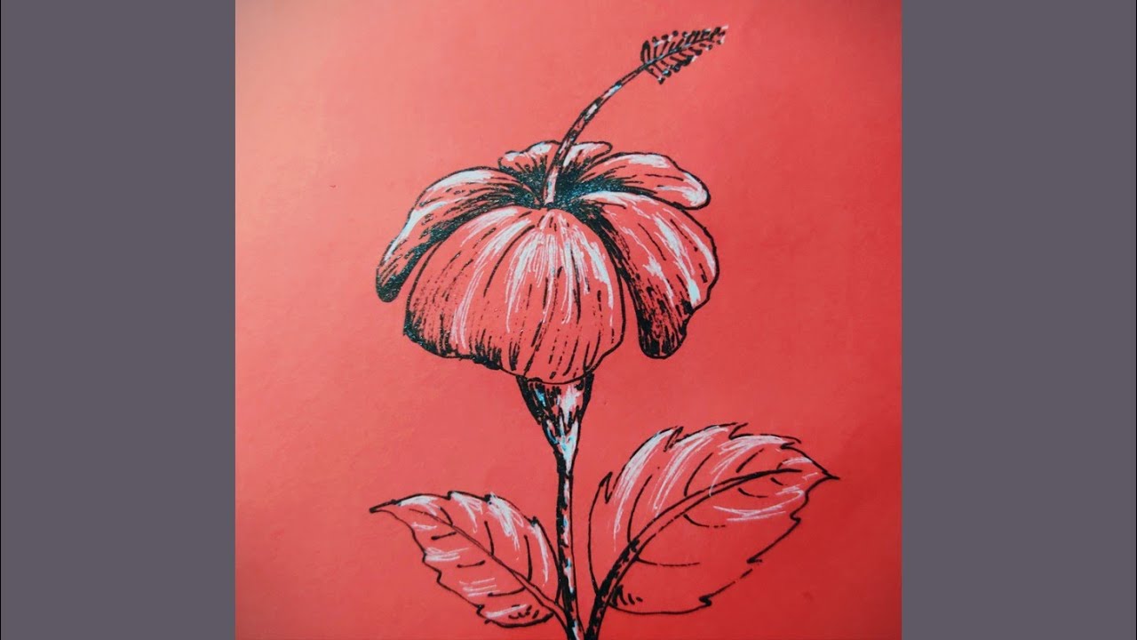 How to draw a Flower on Red color Paper. Easy Art Academy. - YouTube