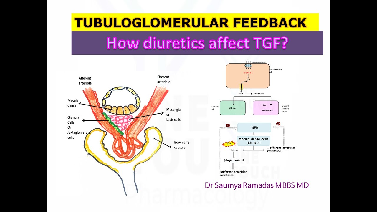 DIURETICS & TUBULOGLOMERULAR FEEDBACK (TGF) made easy with animation ...