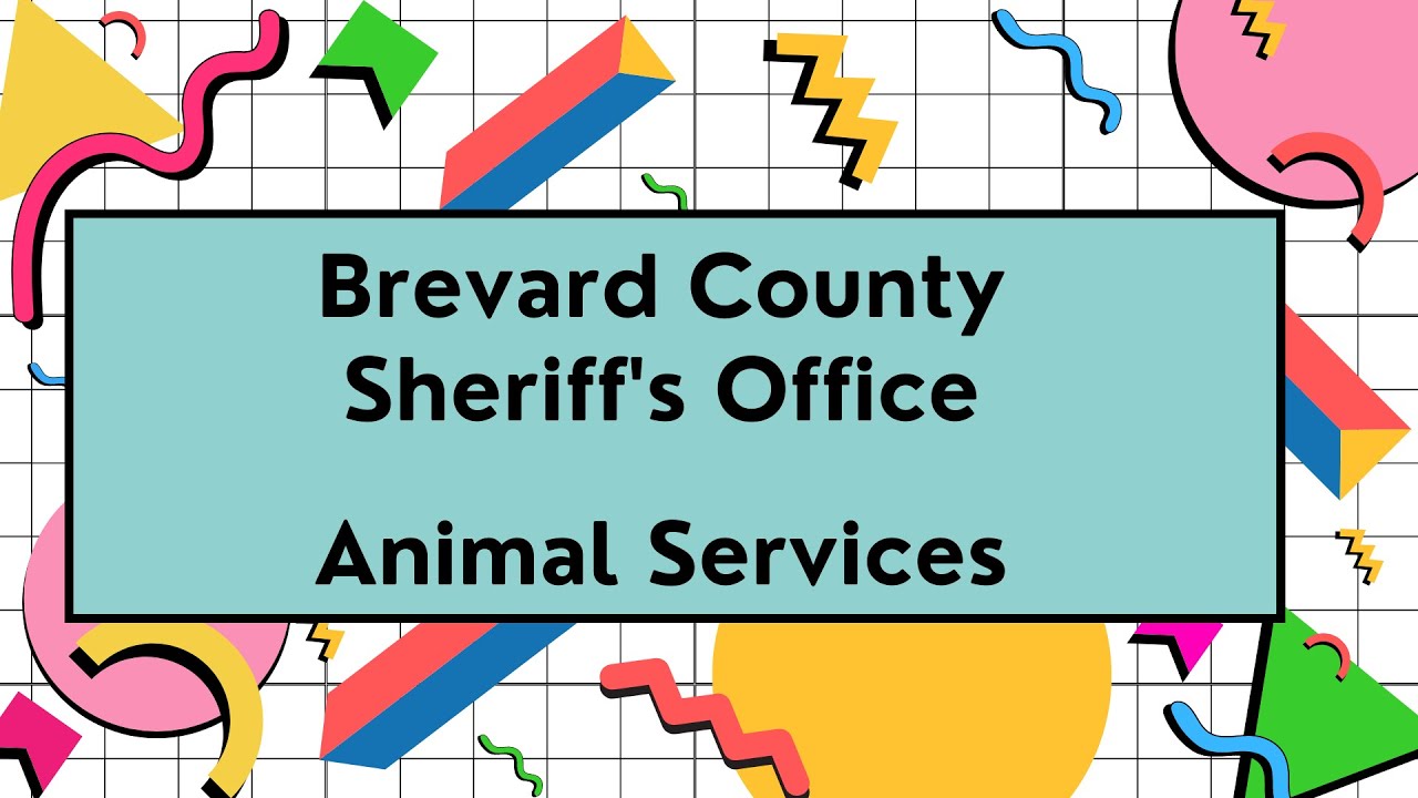 Tails and Tales with Brevard County Libraries and Brevard County ...