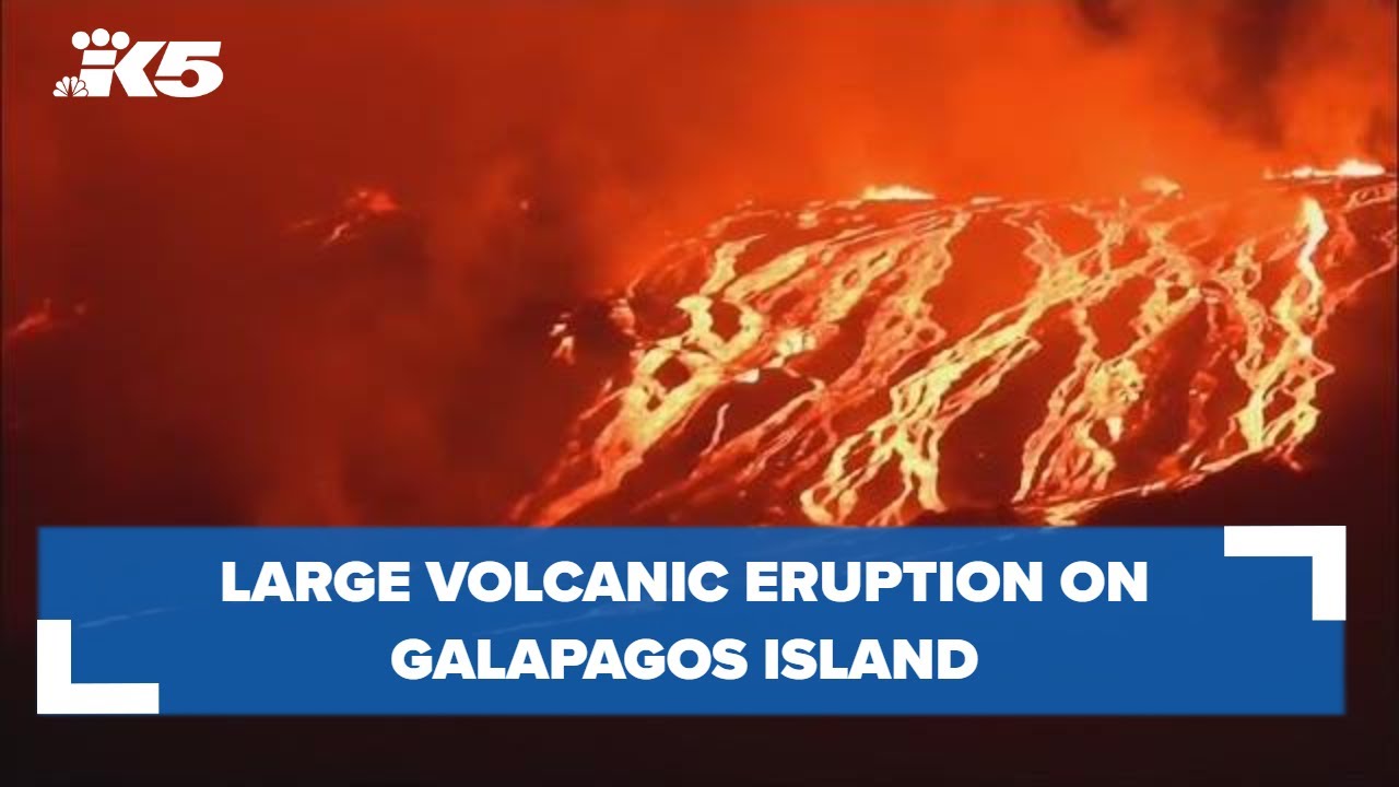 Volcano erupts on Galapagos island - YouTube