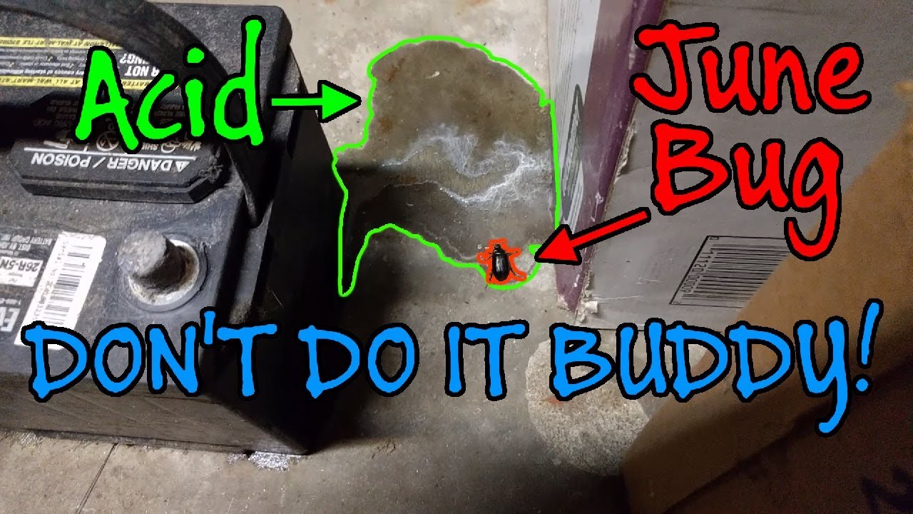 Popped Battery, June Bug Invasion, Garage Cleaning - YouTube
