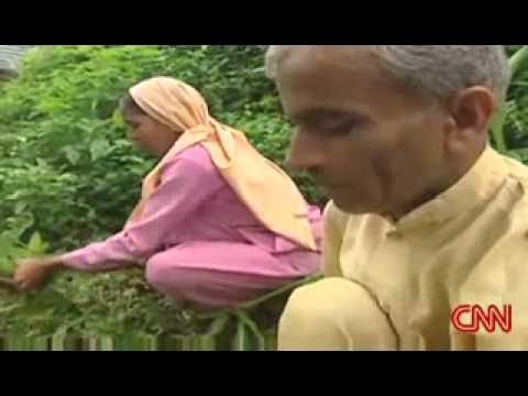 Brothers share one wife - BEN Fraternal Polyandry.flv - YouTube