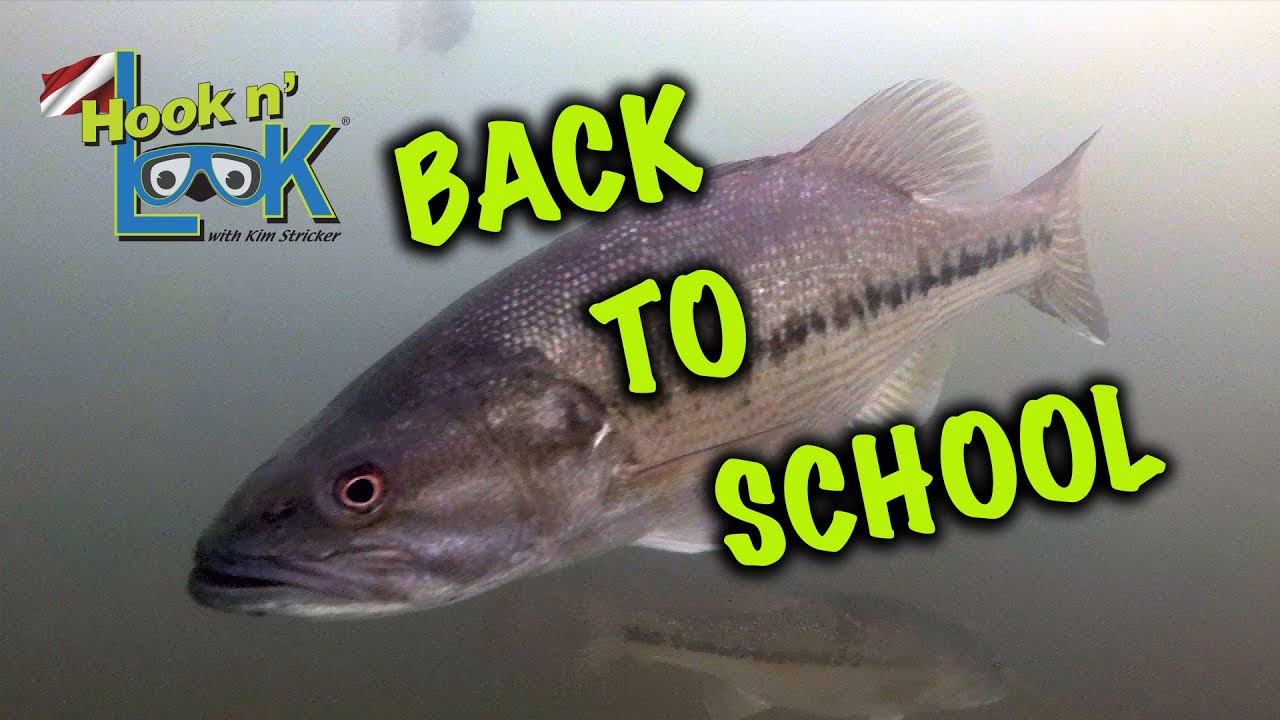 Back to School - FULL EPISODE - YouTube