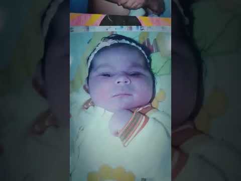 Lelycia derrepente 11Aninhos.