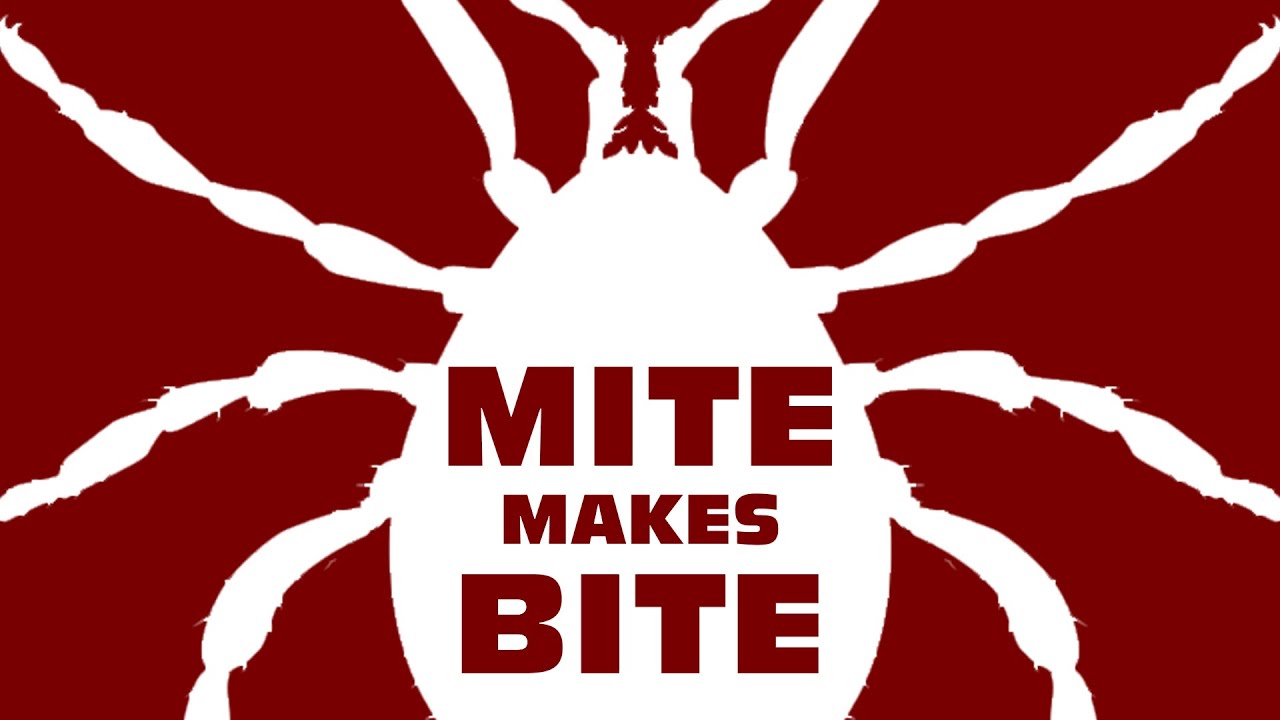 Mite Makes Bite - Short Horror Film - YouTube