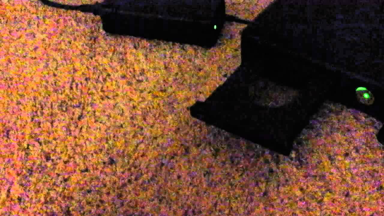 My cat playing with my Xbox - YouTube