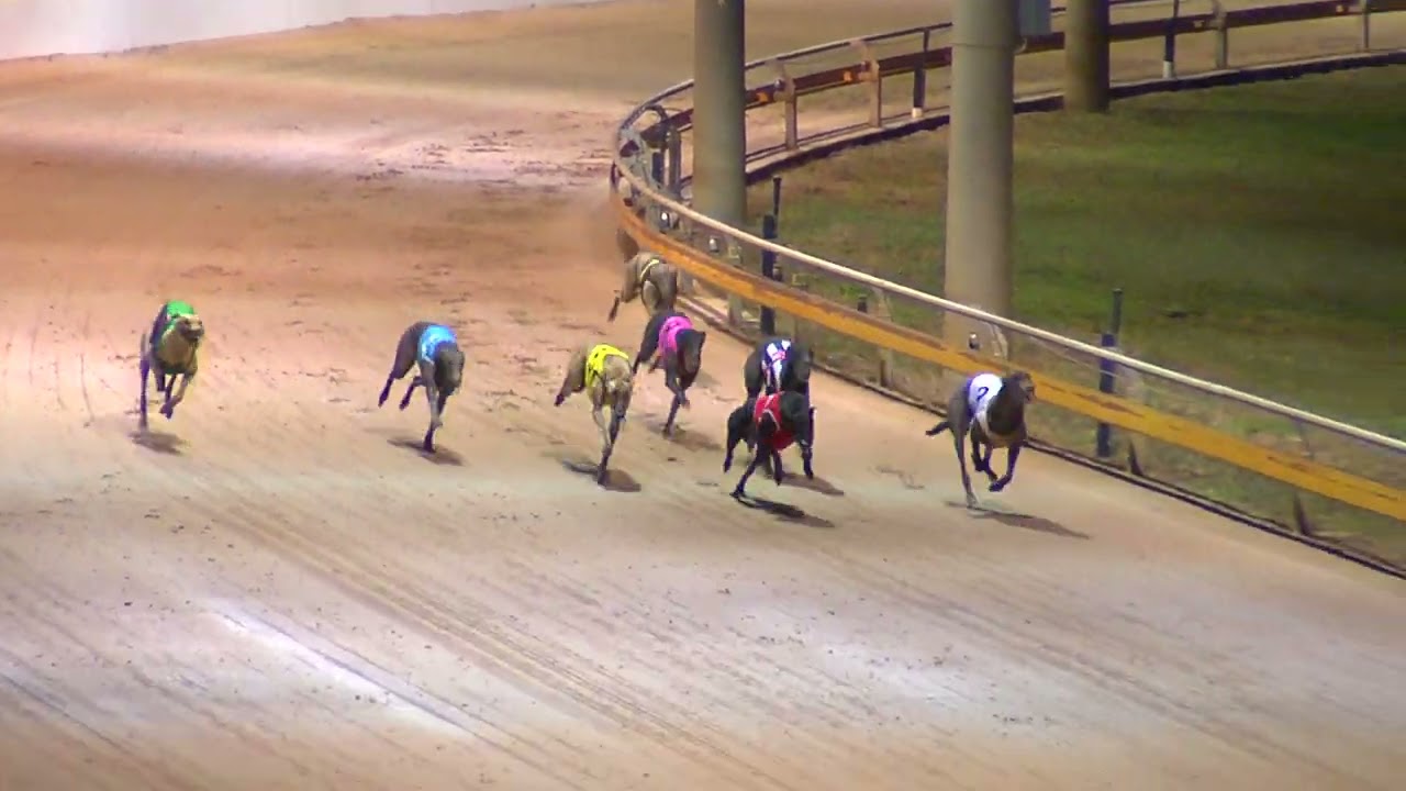 Rockhampton-17082022-Race-12 - YouTube