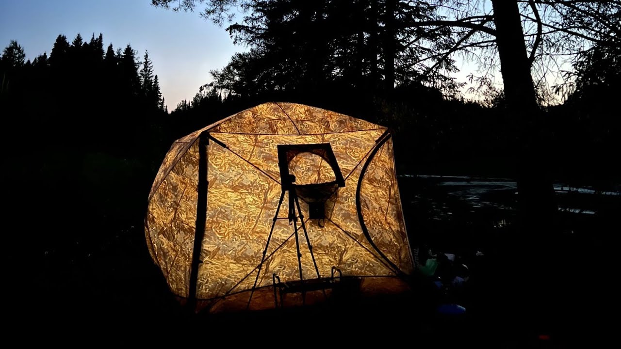 LIFE IN THE SIBERIAN FOREST | CATCH LARGE CARP | LIVING IN A TENT ON ...