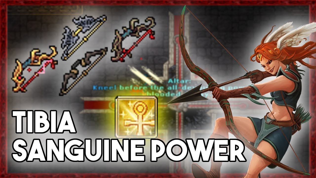 [PL] Tibia | Testy Sanguine Power - Royal Paladin! - YouTube