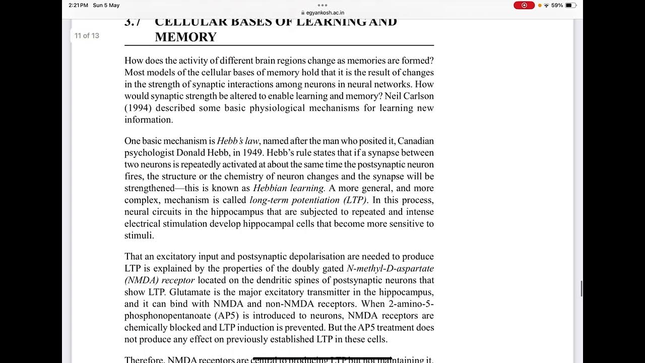 IGNOU , MPC-001- BLOCK 1, UNIT 3- CELLULAR BASIS OF LEARNING AND MEMORY- HEBB LAW - YouTube