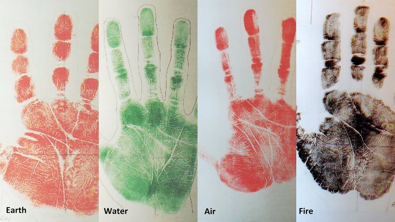 Introduction to Handreading (1): Handshapes - YouTube
