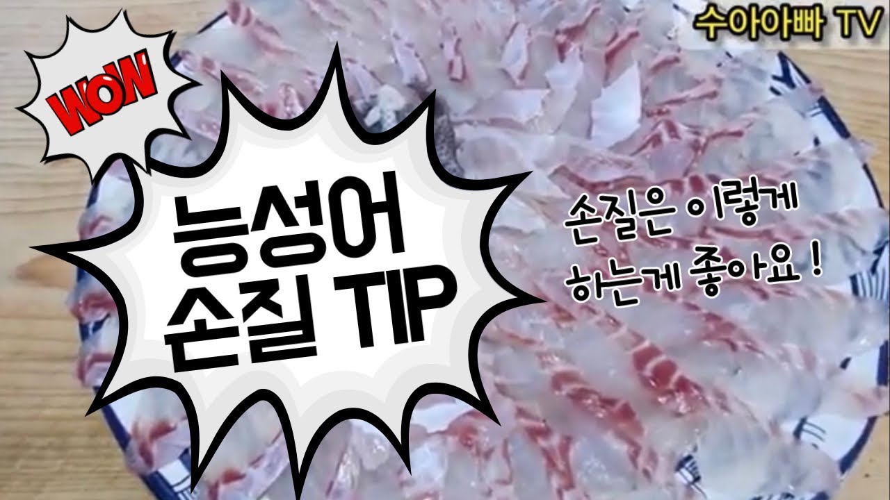 [자연산 능성어 손질은 이렇게!!!] 지금 제철인 자연산 능성어 한접시에 단톡방 구독자 서비스. How to fillet ...