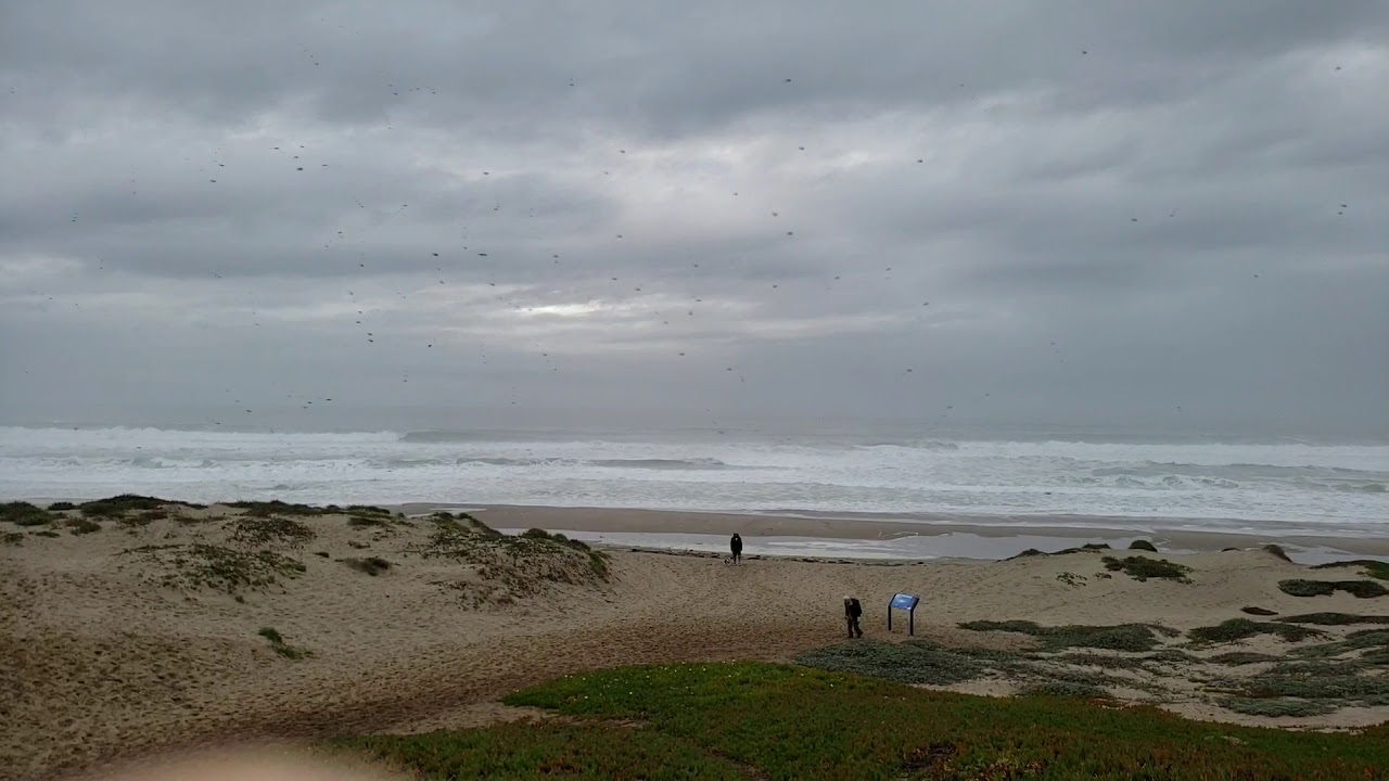 Surf beach, vandenberg 2018-11-27, 3pm - YouTube