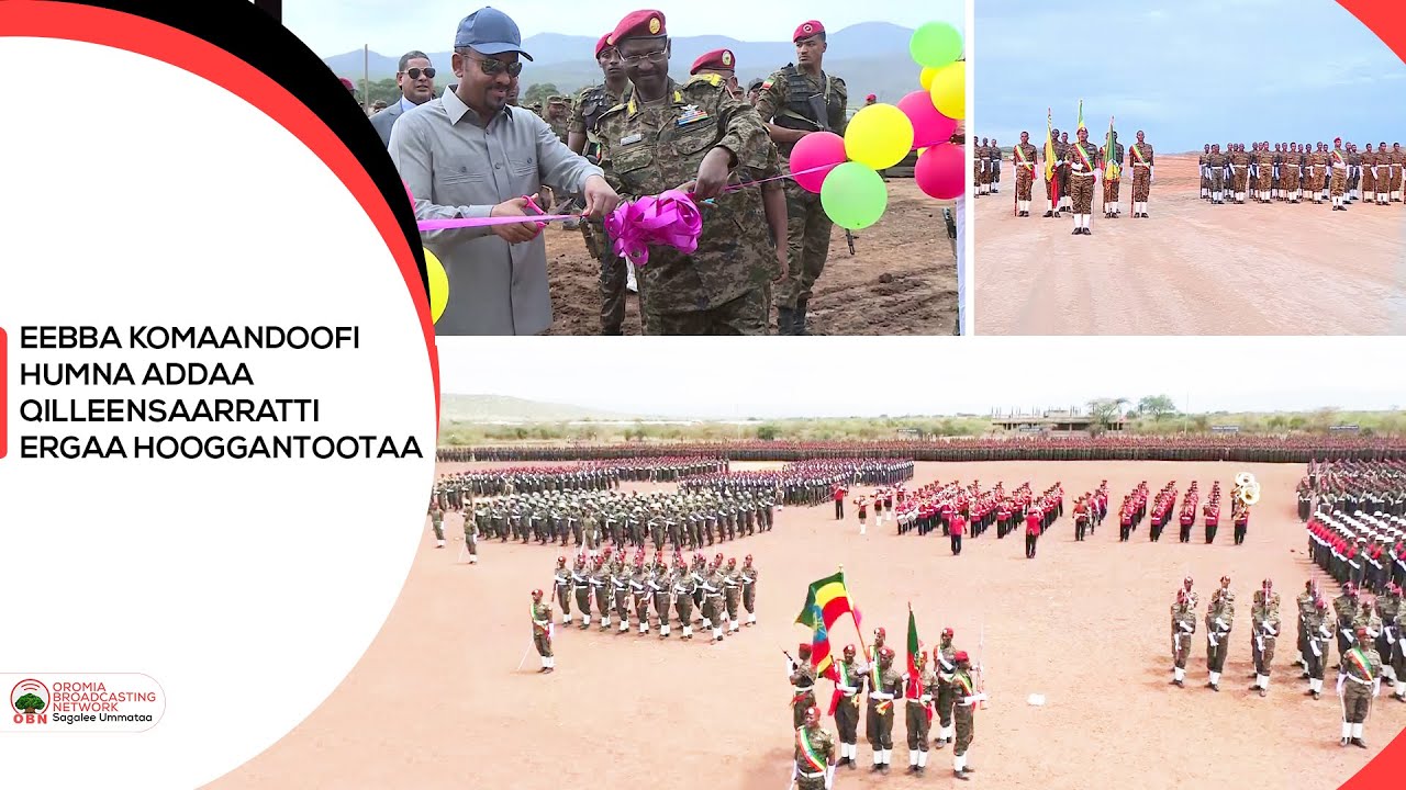 Eebba Komaandoofi Humna Addaa Qilleensaarratti ergaa hooggantootaa ...