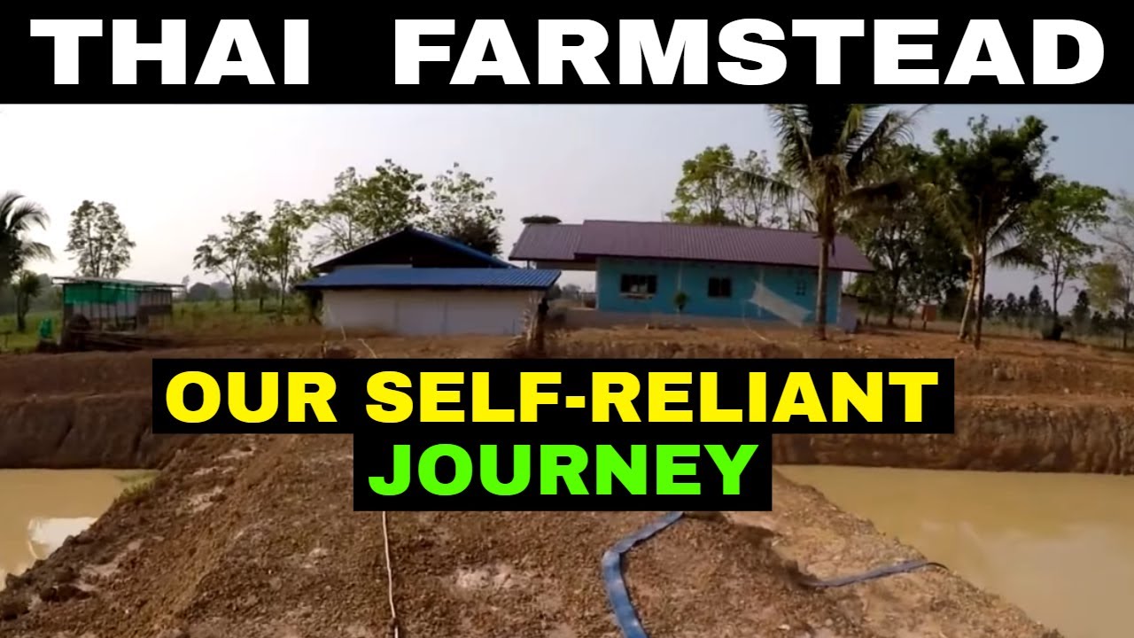 FARM LIFE - Our quest for self sufficiency - YouTube