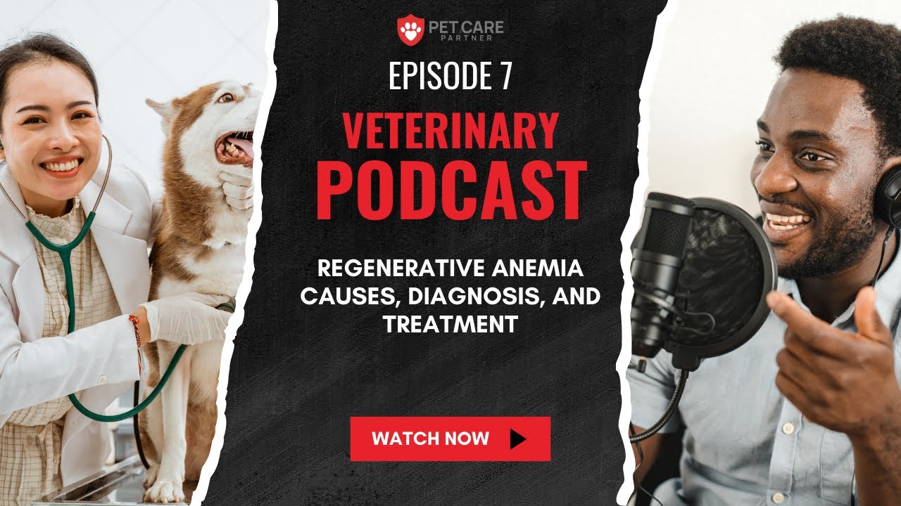 EP - 07 Regenerative Anemia in Pets: Causes, Diagnosis & Treatment ...
