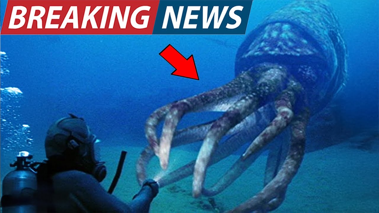Australian Diver JUST Discovered a Sea Creature Thought Extinct STILL ...