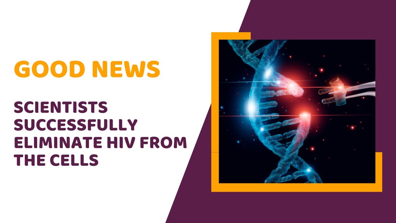 HIV Breakthrough as scientists successfully eliminate the virus from ...