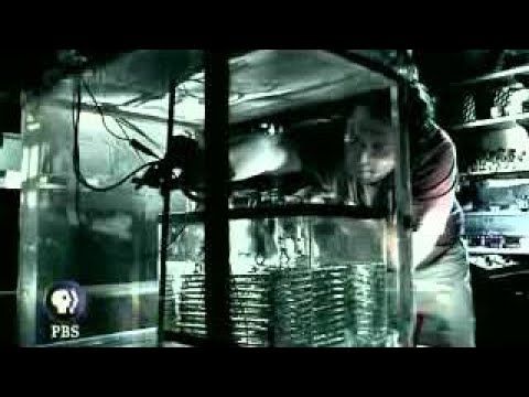 National Geographic Strange Days on Planet Earth Part 2 of 4 One Degree ...