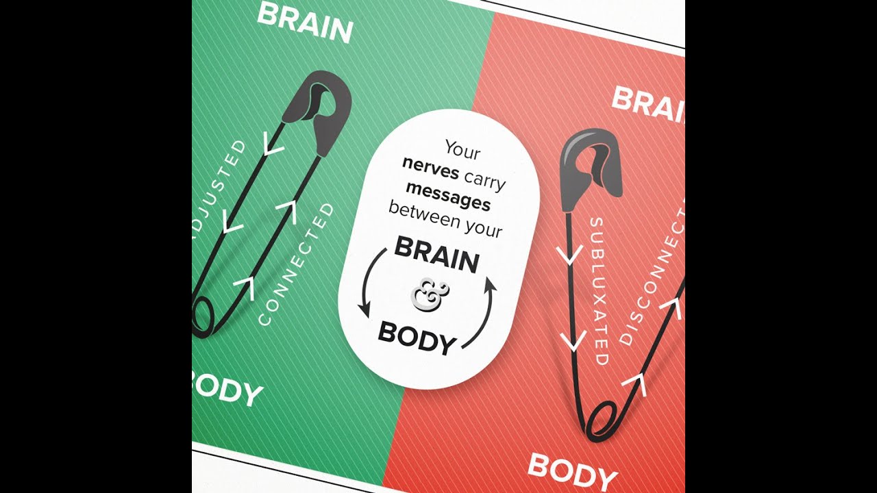 The Normal Complete Cycle - YouTube