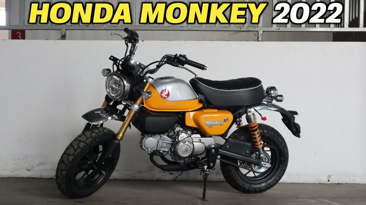 NEW HONDA MONKEY 2022 - YouTube