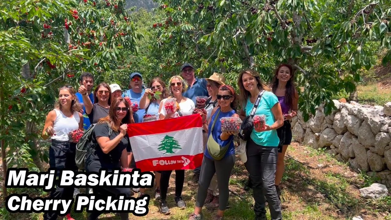 Marj Baskinta Cherry picking - YouTube