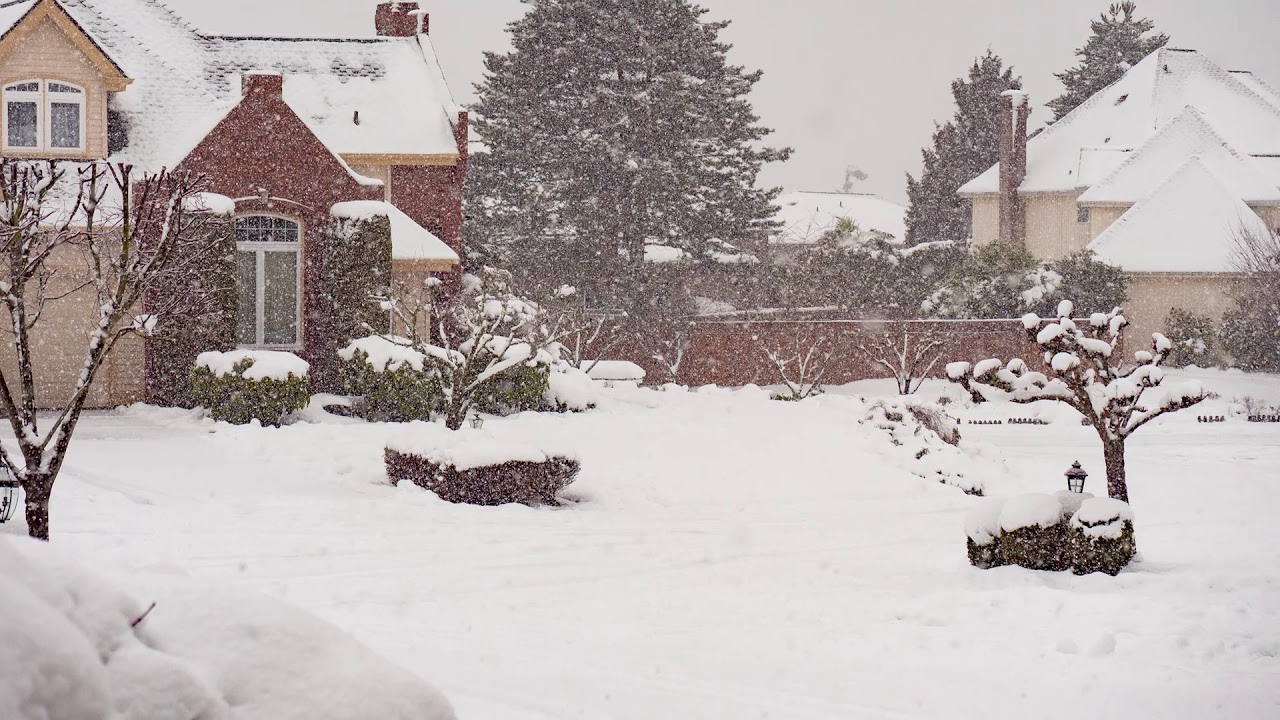 2019 Seattle Snowfall In Slow Motion-All Time Record Snow For February ...