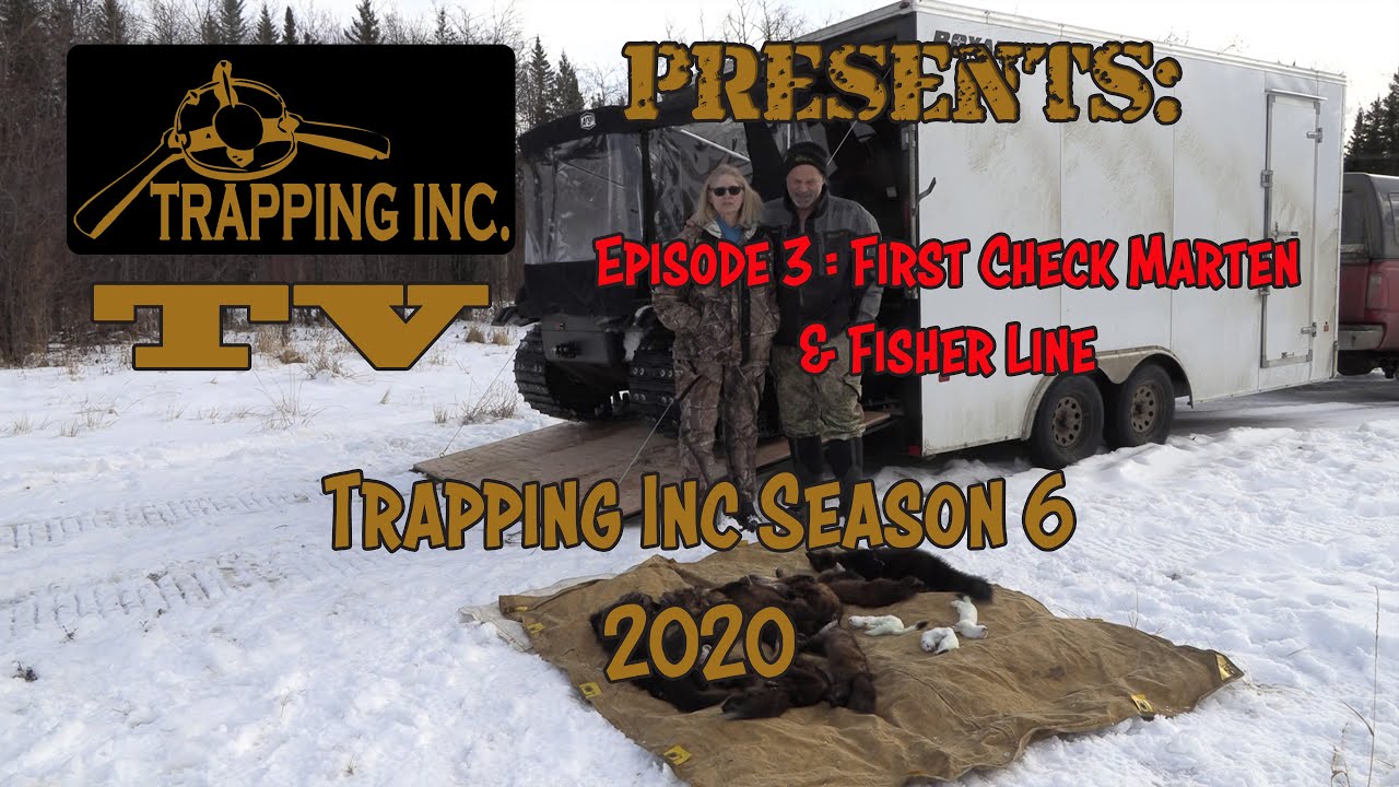 Trapping Inc TV 2020 Season 6 Episode 3 Marten And Fisher season begins ...