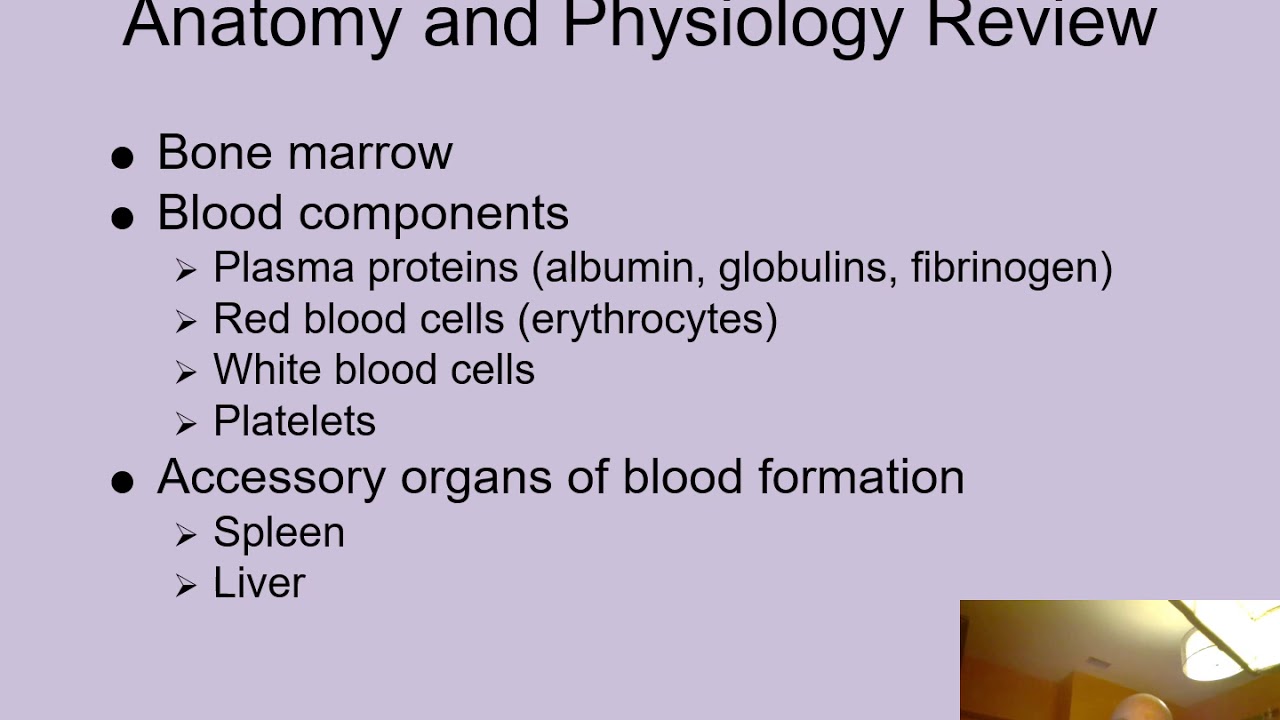 Hematologic System NRSG1650 7 - YouTube
