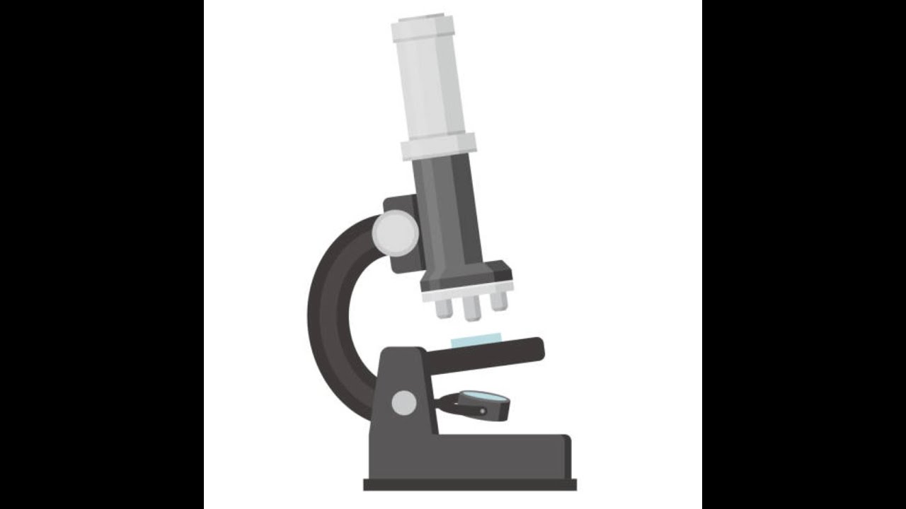General Microscope Parts and Functions - YouTube