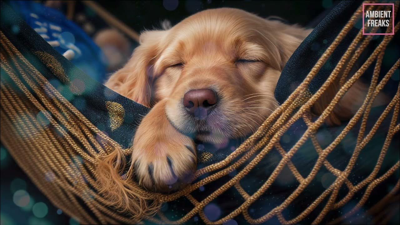 Vinyl rustling👶🏻💤Colicky Baby Sleeps To This Magic Sound. 8 Hours ...