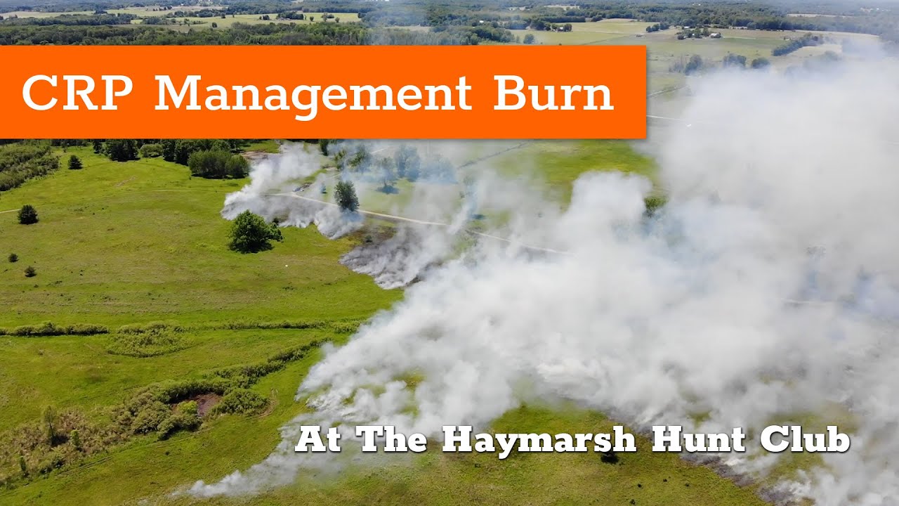 CRP Management Burn At The Haymarsh Hunt Club - YouTube