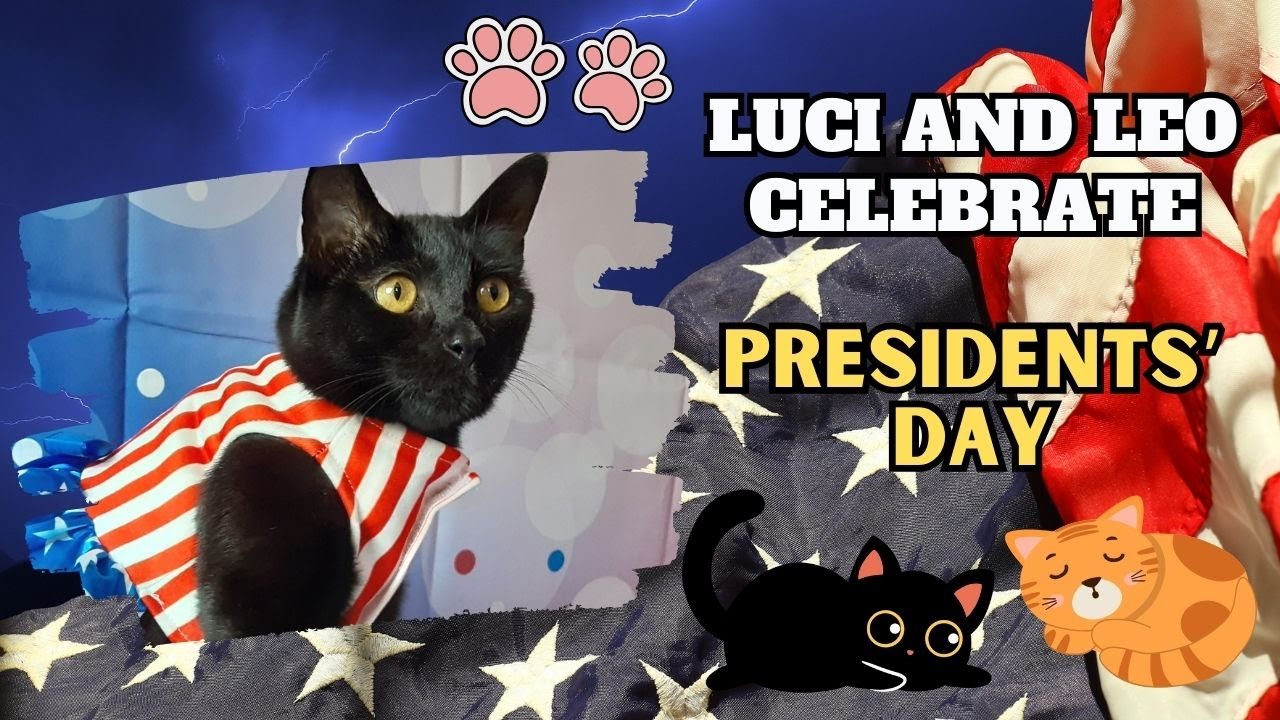 Luci and Leo Celebrate Presidents' Day - YouTube