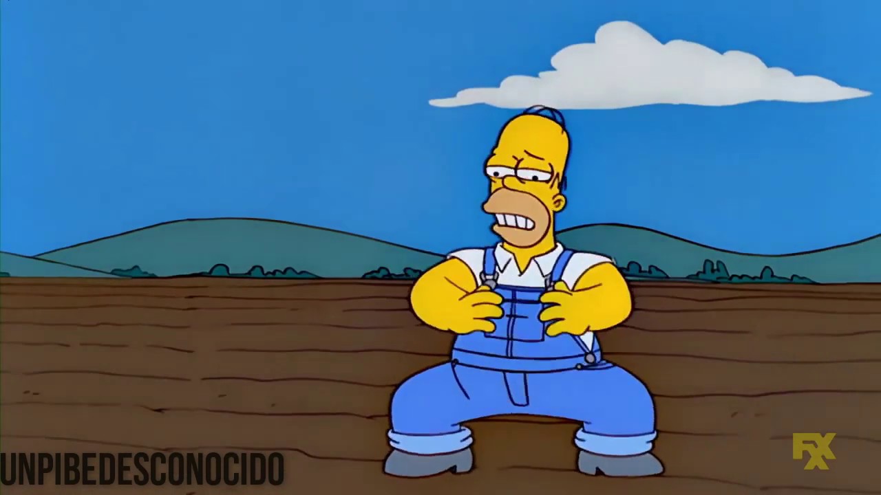 Homero ¨Que no cunda el pánico¨ | Mejores momentos de Los Simpson - YouTube