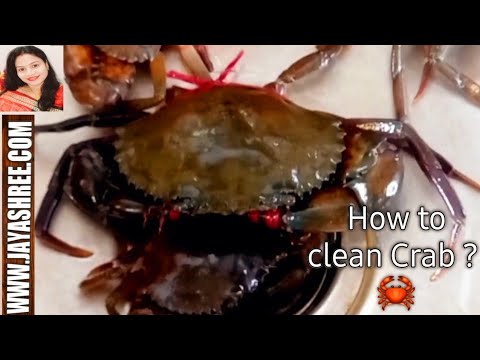 How to clean Crab in easy way ? 🦀 🦀 - YouTube