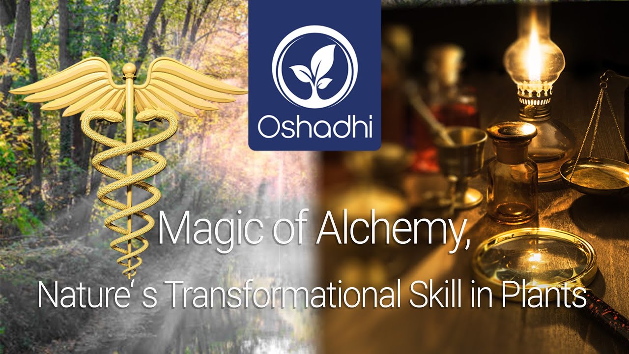 Alchemy and Aromatherapy | Essential-Oil-Plant Portrait by Dr. Malte Hozzel - YouTube