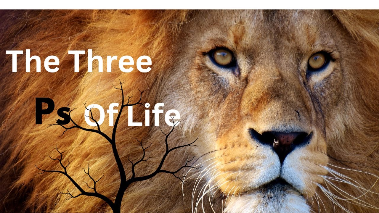 MASTER THE 3 Ps OF LIFE : THE SECRET TO LASTING SUCCESS.(A MUST WATCH ...